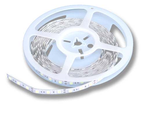 Cool White LED Strip (12V, Indoor, Single Density, 16'4" Reel ...
